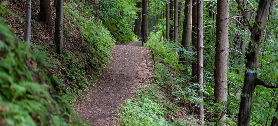 4 Pro Tips to Avoid Running Injuries | True Sport Care and Chiropractic 4 Pro Tips to Avoid Running Injuries | True Sport Care and Chiropractic